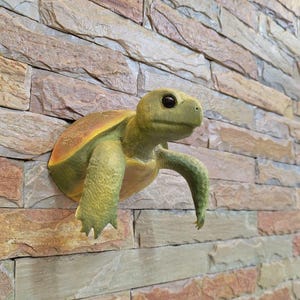 Turtle Fish Head Wall Mount, Sea World Home Décor, Oceanic Gifts for ...