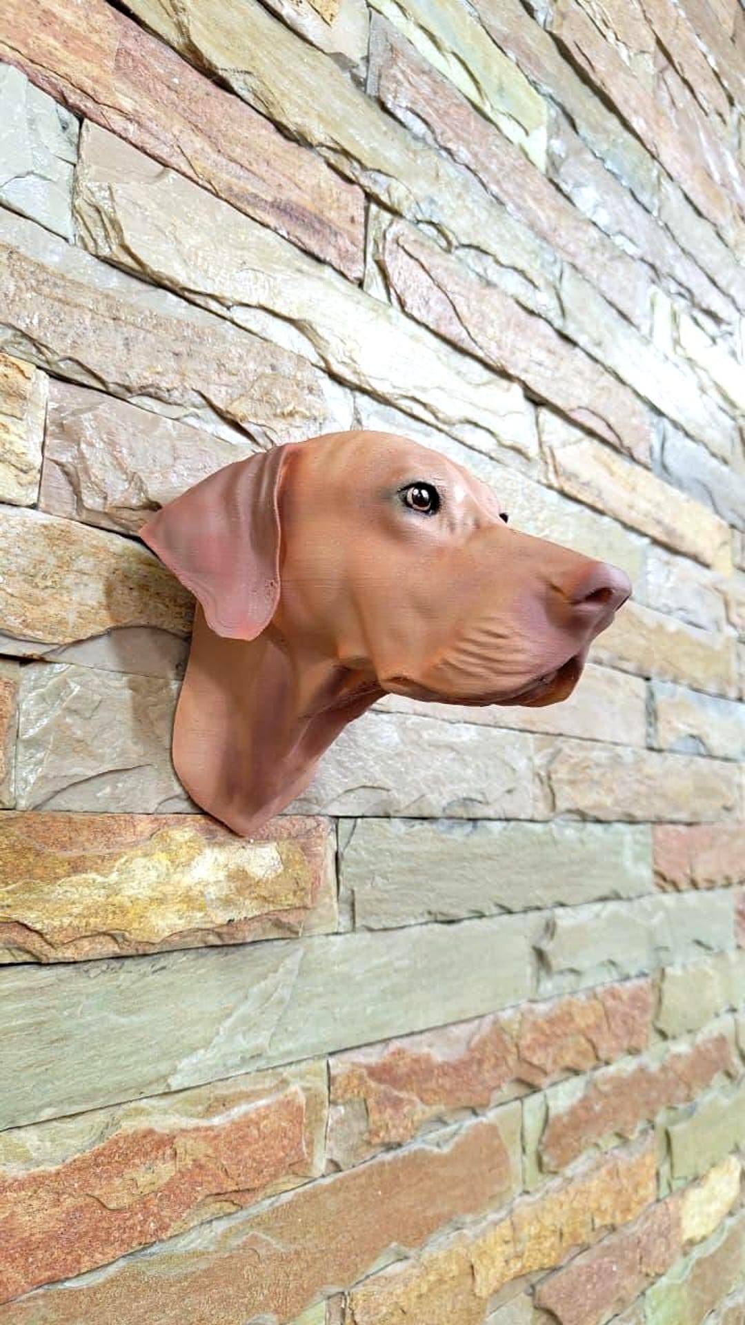 Hungarian Vizsla Dog Head Wall Mount, Wall Art Home Décor, Gifts for ...