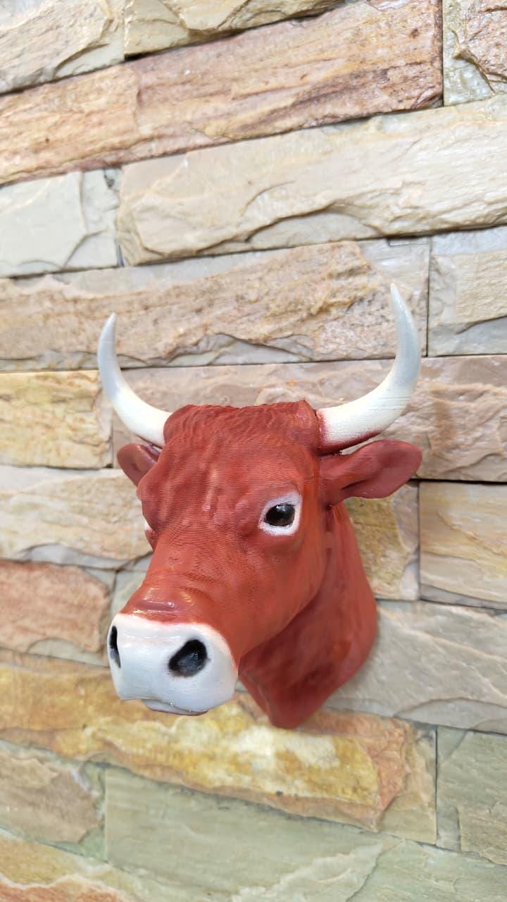 Bull Head Wall Mount, Spanish Bull Farm Home Décor, Gifts for Dad, Pets ...