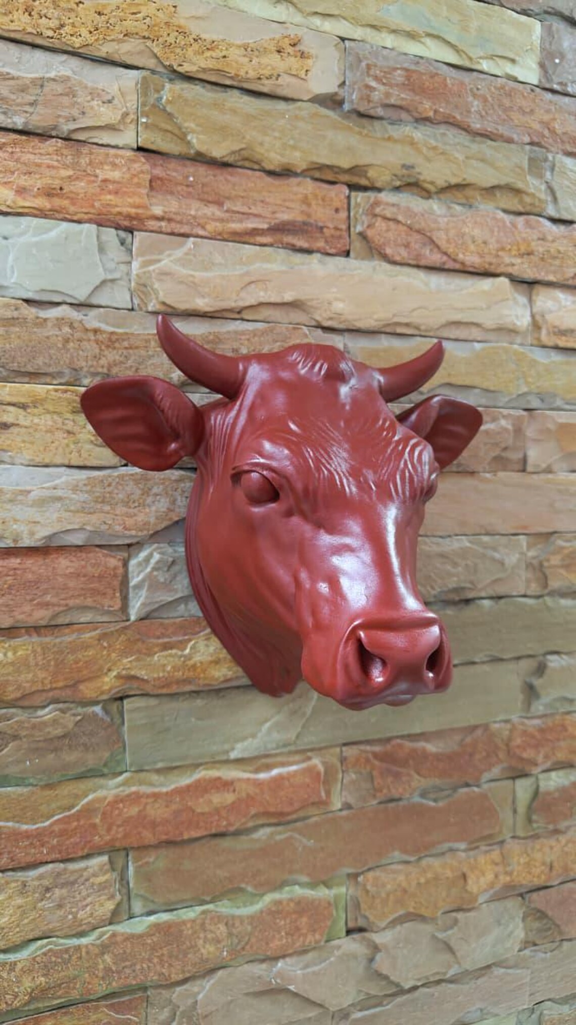 Jersey Cow Head Wall Mount, Bull, Farm, Home Décor, Gifts for Dad, Pets ...