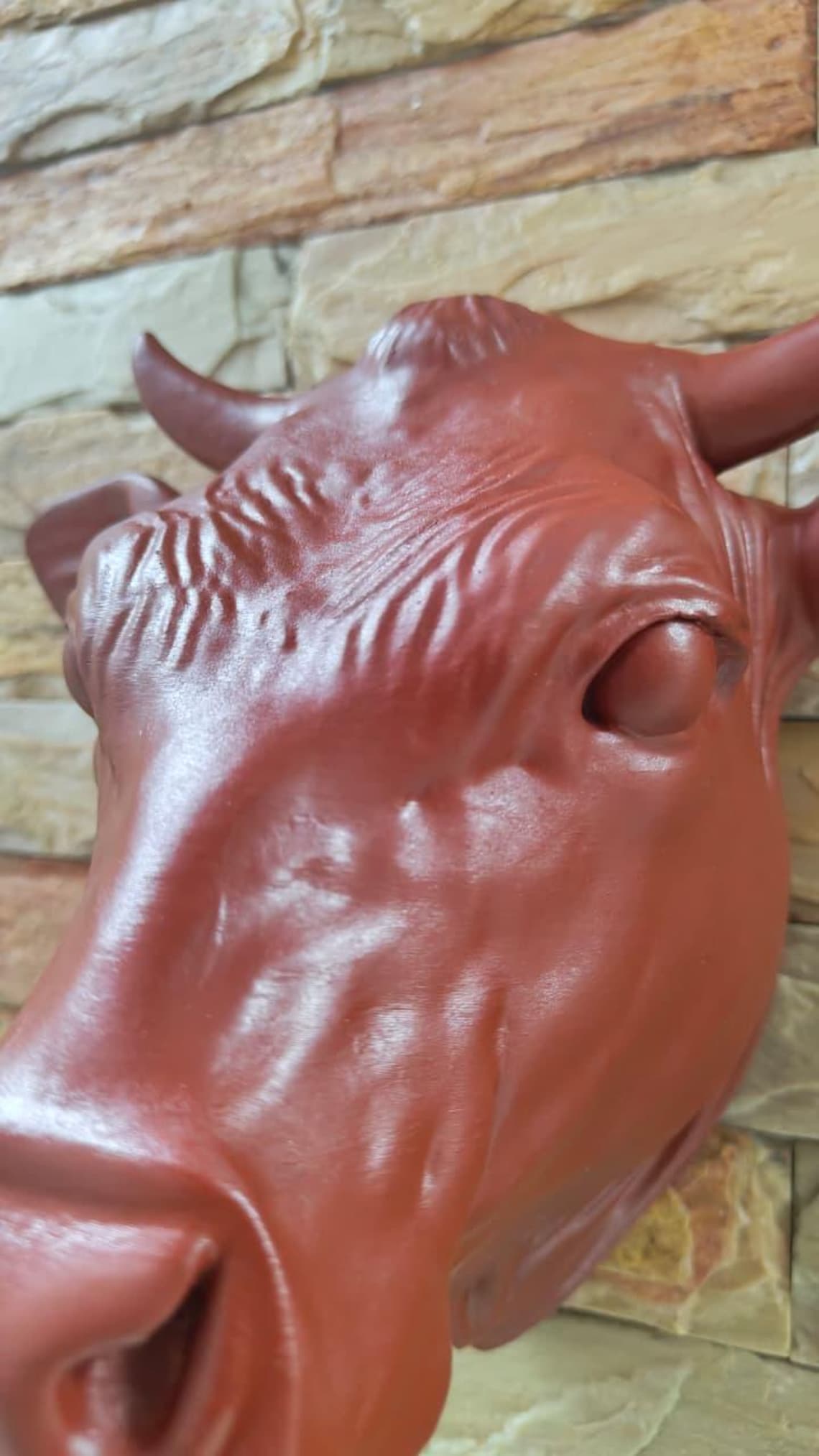Jersey Cow Head Wall Mount, Bull, Farm, Home Décor, Gifts for Dad, Pets ...