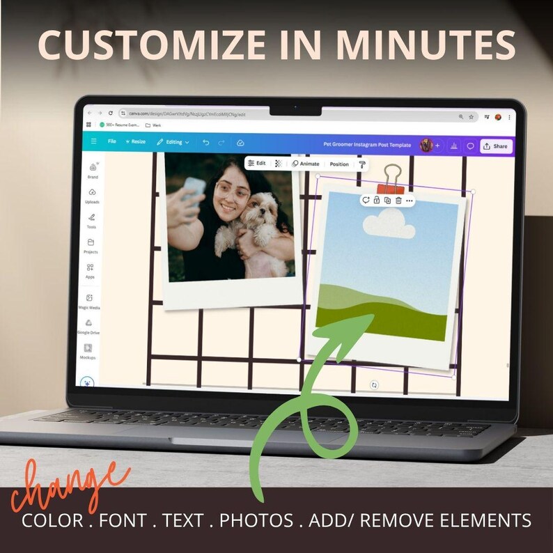 Pet Groomer Instagram Post Templates: Canva Editable Social Media ...