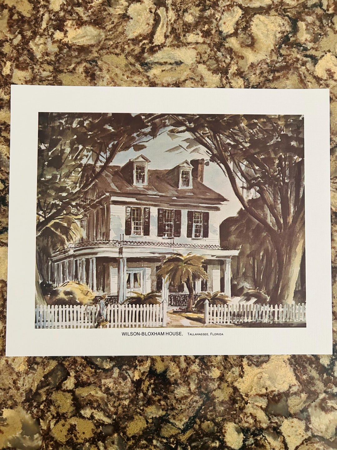 Vintage Wilson-bloxham House Florida Richard Lewis Matted Print - Etsy