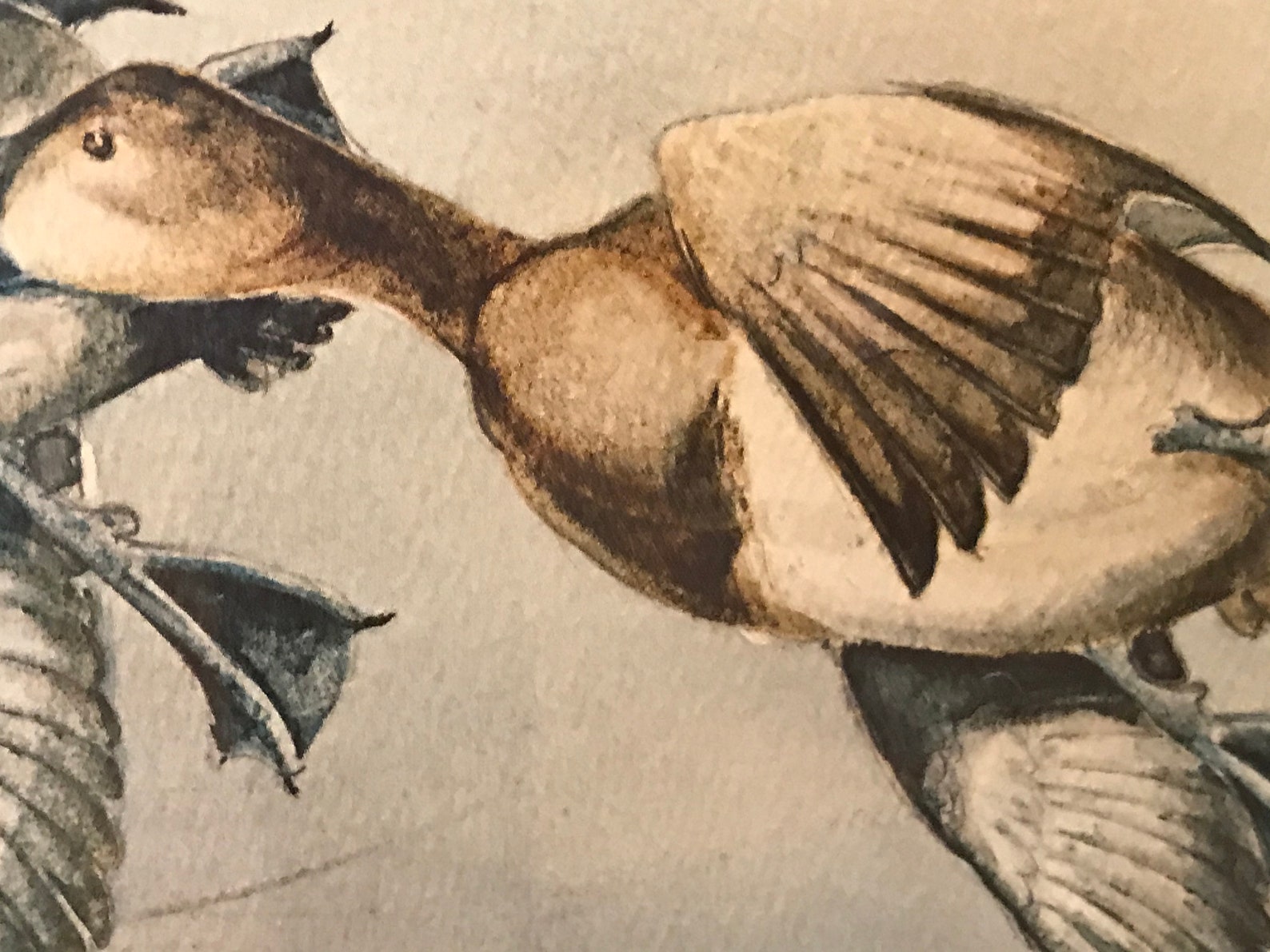 Hand Signed Nick Klepinger Limited Edition Art Print 18 X 22 - Etsy UK