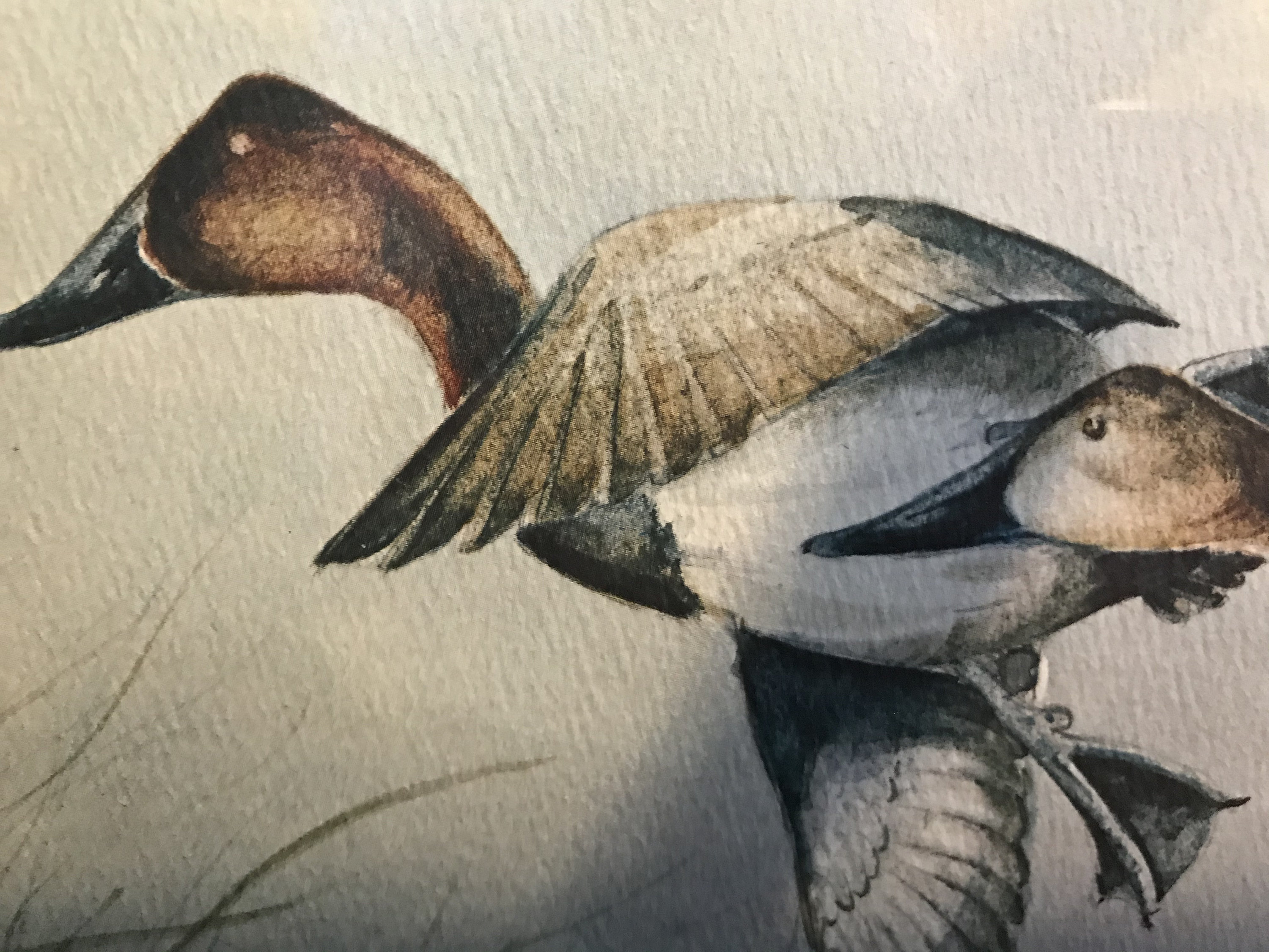 Hand Signed Nick Klepinger Limited Edition Art Print 18 x 22 | Etsy