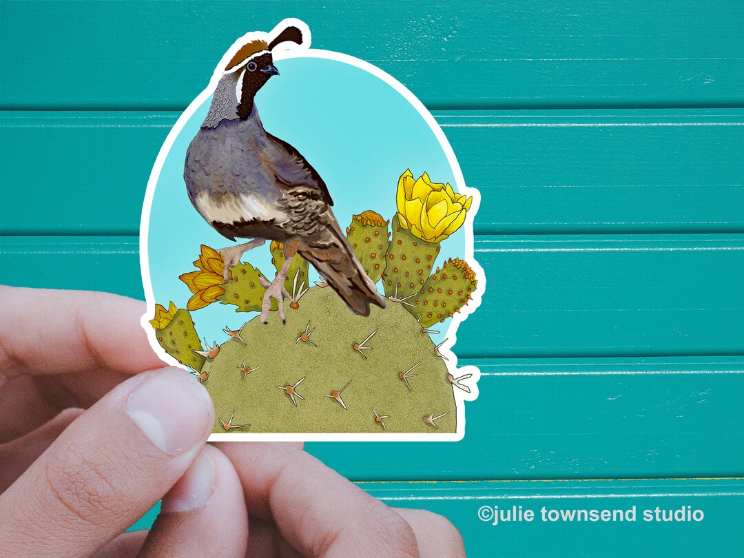 Gambel's Quail Sticker Mojave Desert Wildlife Blooming Cactus Prickly ...