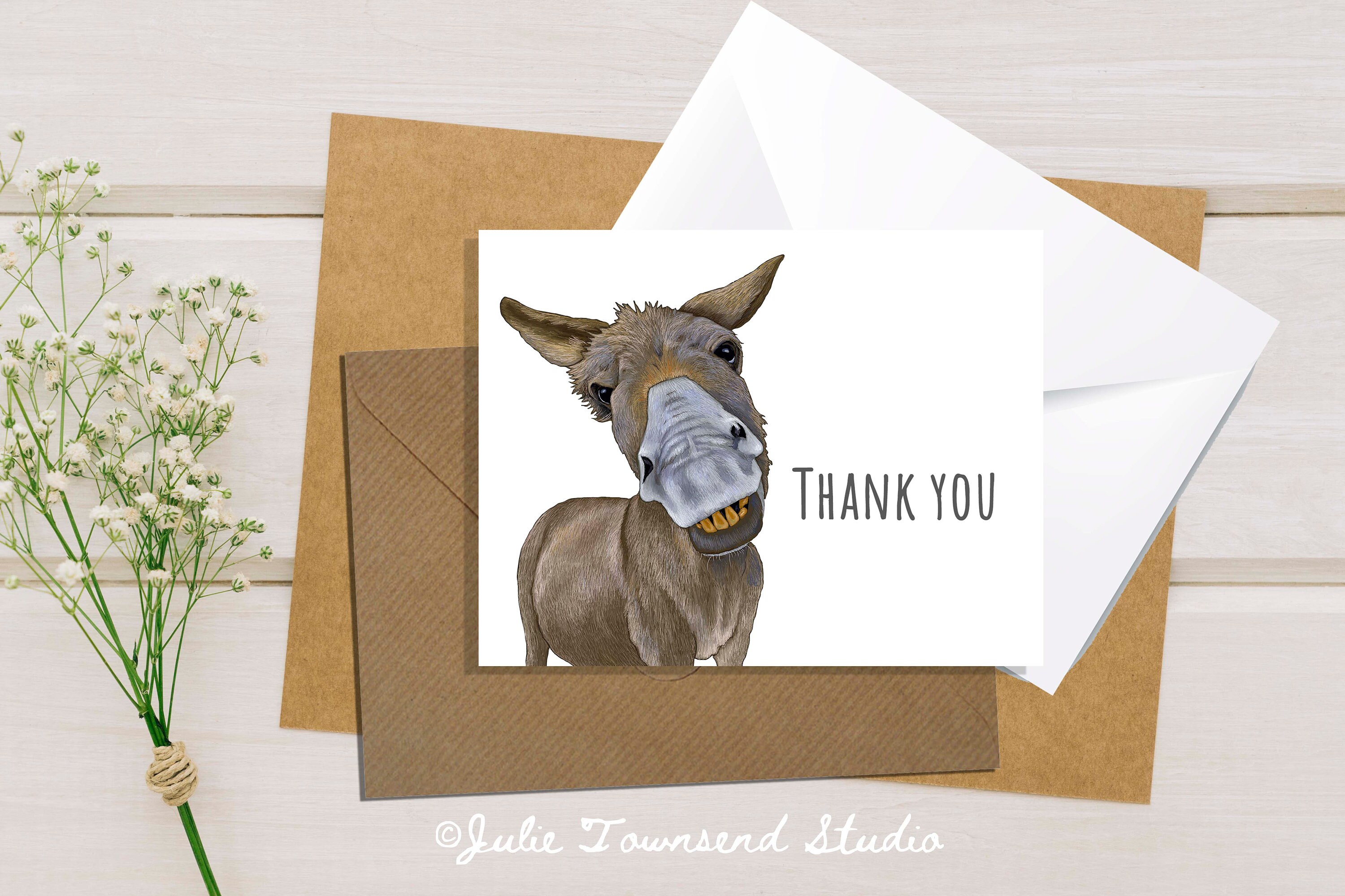 Funny Donkey Thank You Note Card Set - Appreciation Cards - Blank ...