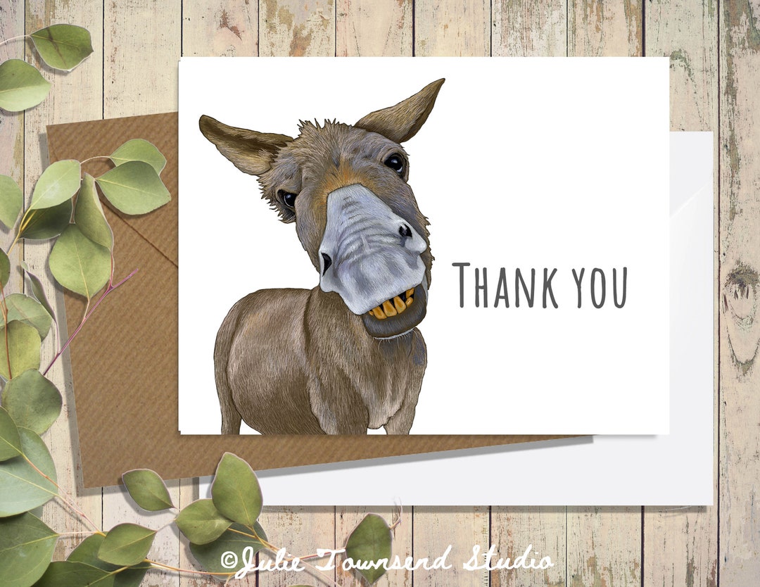 Cute Donkey Thank You Note Card Set Appreciation Cards Thank You Card ...