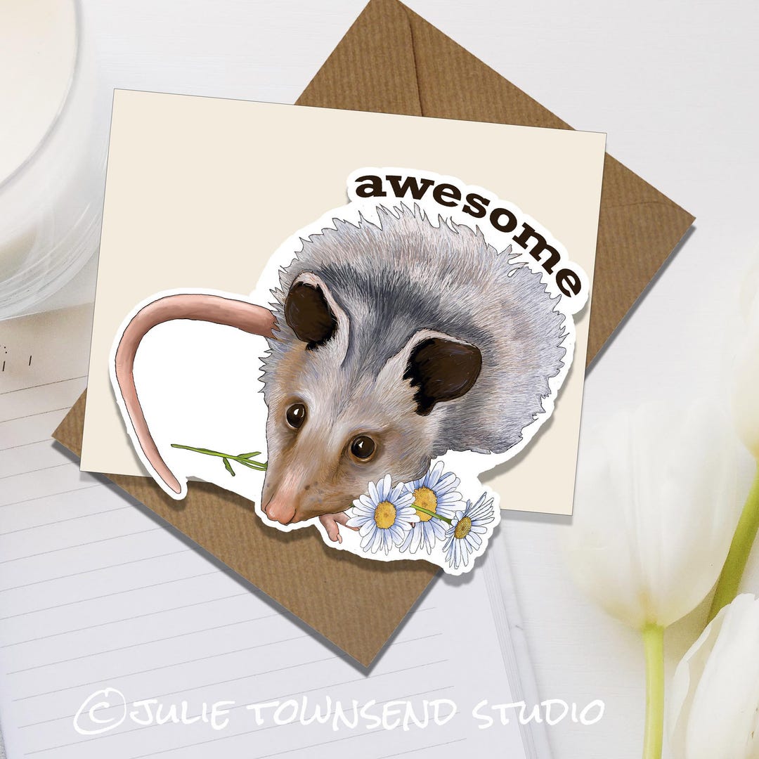 Cutest Awesome Possum Stickers - Opossum Lovers Will Be so Excited With ...