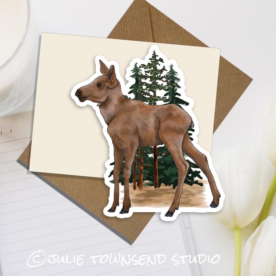 Cute Baby Moose Sticker - Woodland Animals in the Forest - Moose Lover ...