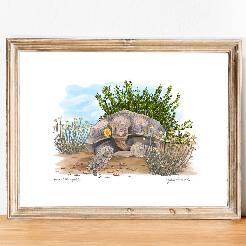 Tortoise Eating a Yellow Desert Marigold - Mojave Desert Wall Art ...