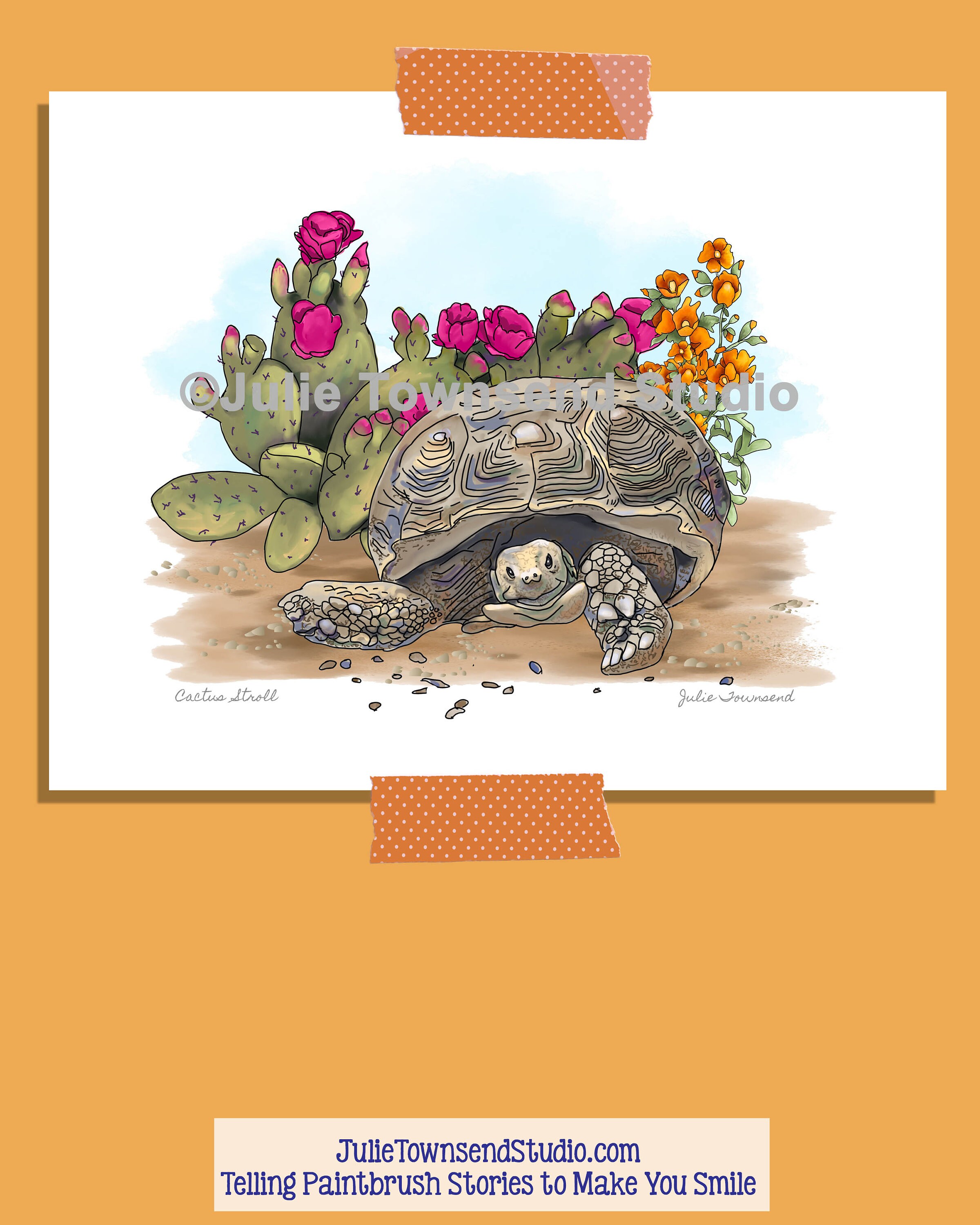How To Draw A Desert Tortoise