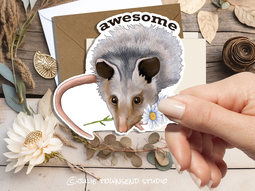 Cutest Awesome Possum Stickers Opossum Lovers Will Be so Excited With ...