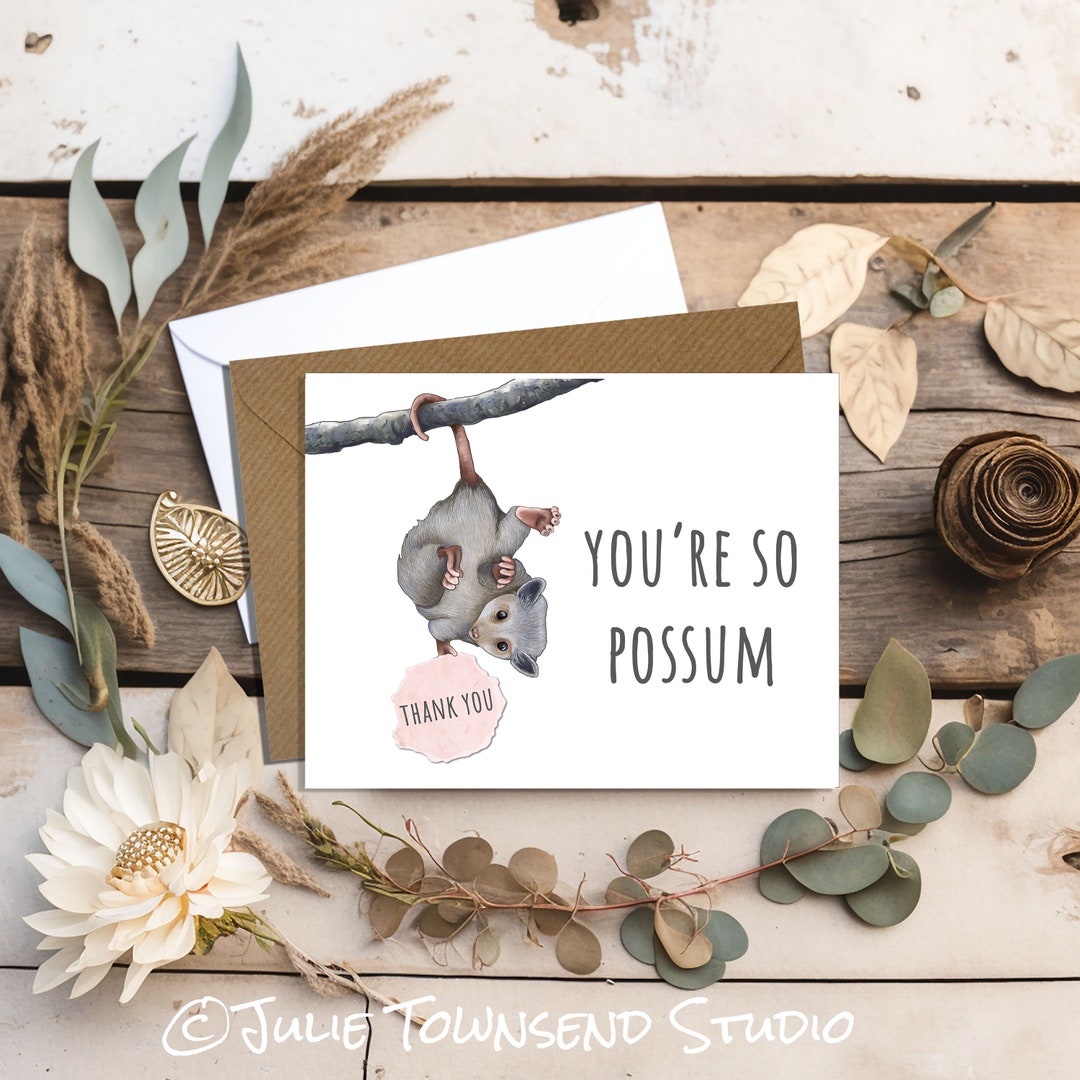 Adorable Possum Thank You Note Card Set Appreciation Cards Thank You ...