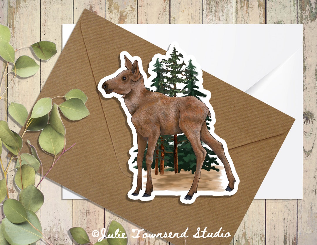 Cute Baby Moose Sticker Moose Calf in the Forest stickers for ...