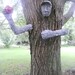 The Pitcher Decorative Tree Art Lawn and Garden Sculpture Waterproof ...