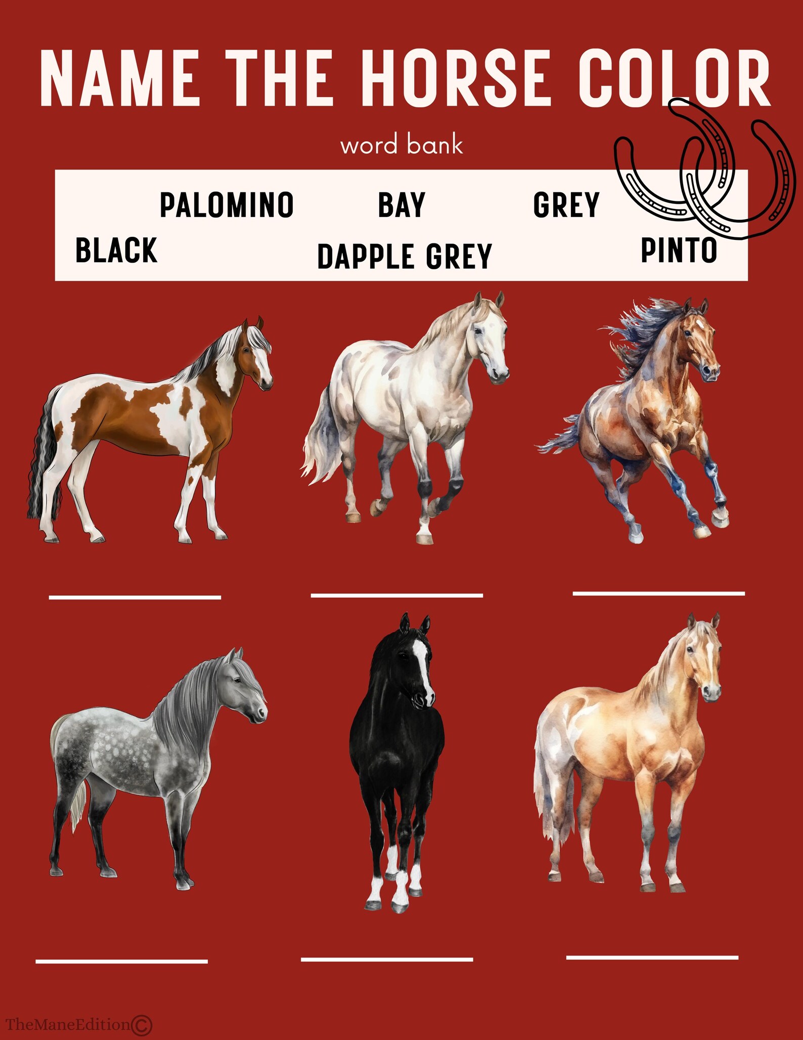 Name the Horse Color - Digital Horse Educational Worksheet - Etsy