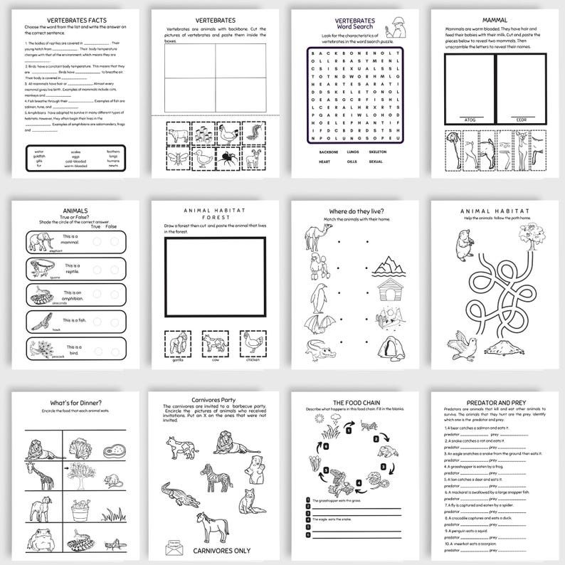 3rd Grade Animal Science Worksheets, Life Science Activities for ...