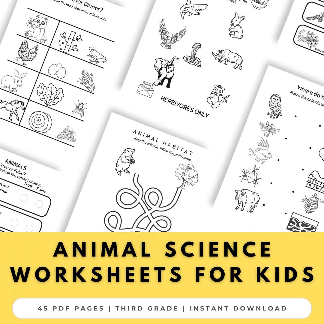 3rd Grade Animal Science Worksheets, Life Science Activities for ...