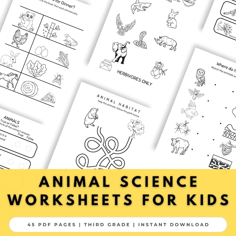 3rd Grade Animal Science Worksheets, Life Science Activities for ...