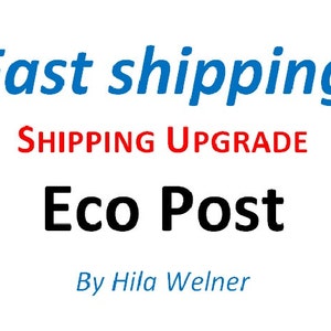 Fast Shipping Shipping Upgrade by Eco Post Express Delivery From Israel ...