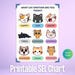 Cat Emotions Chart & Emotion Regulation Poster | Printable SEL Therapy ...
