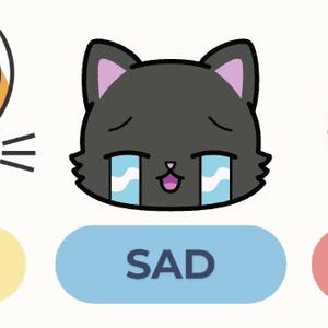 Cat Emotions Chart & Emotion Regulation Poster | Printable SEL Therapy ...