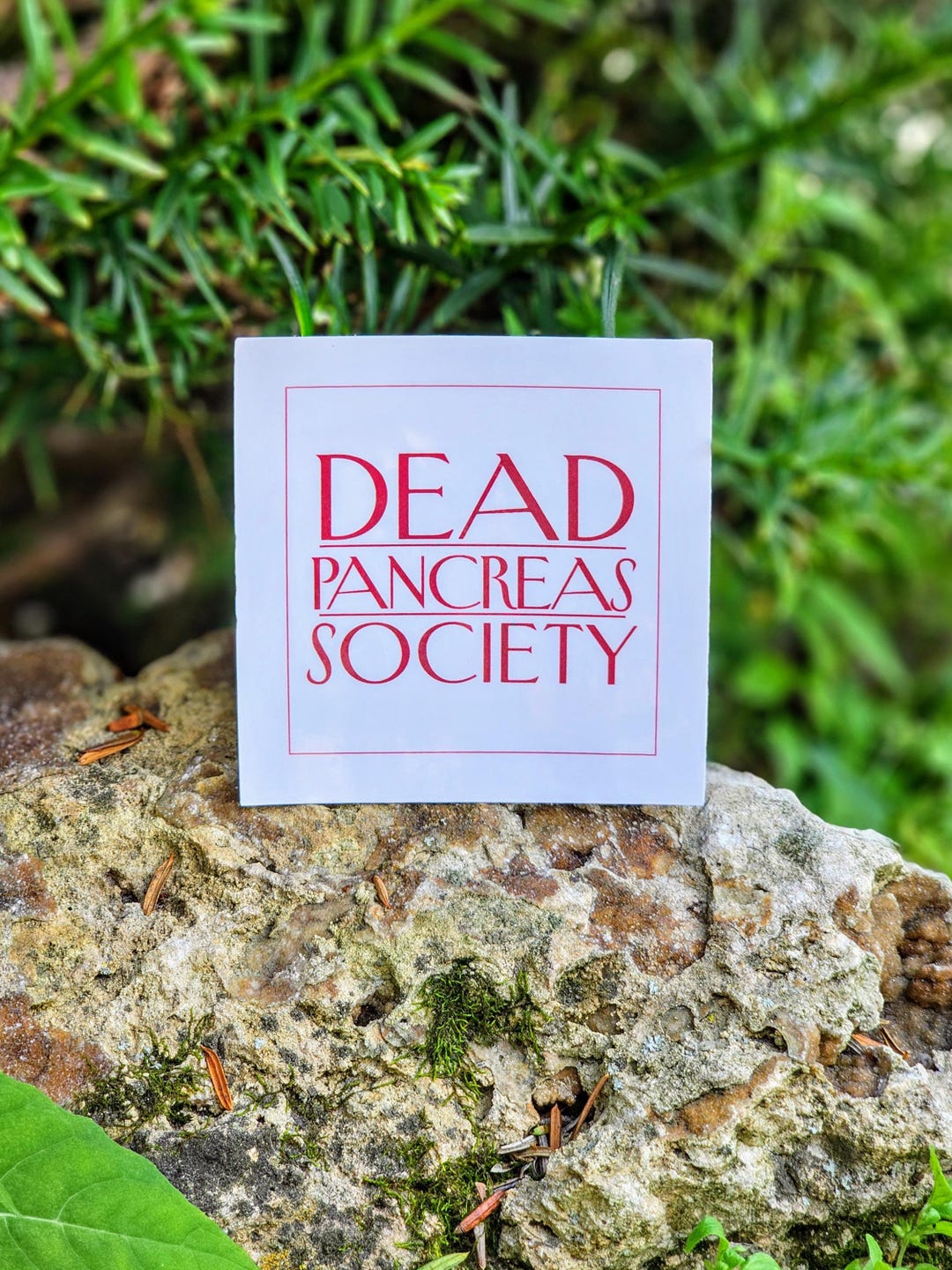 Dead Pancreas Society • Diabetic Lifestyle Vinyl Sticker - Etsy