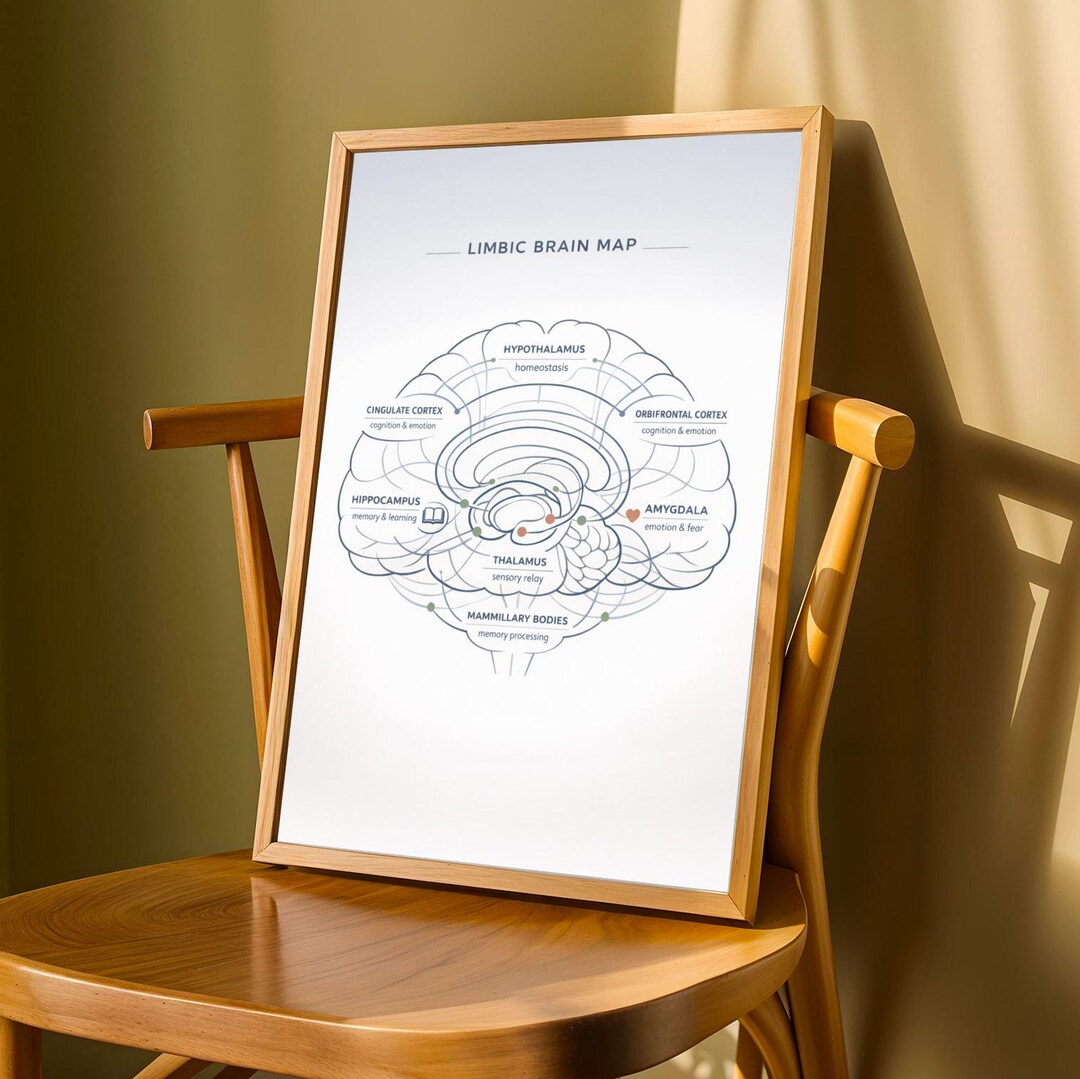Limbic Brain Maps Art Print – Minimal Diagram, Blue Tones, Mixed Media ...