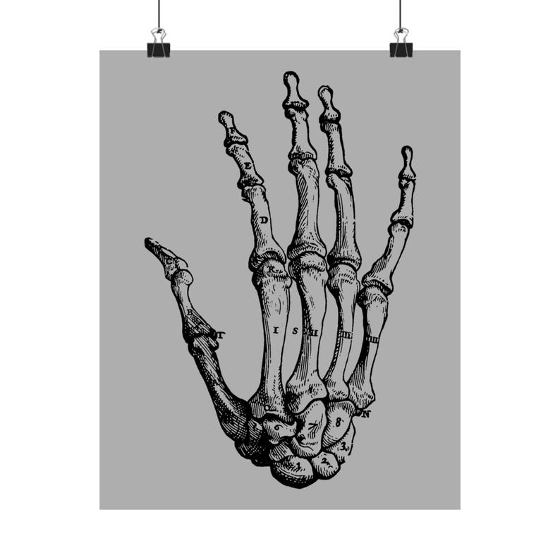Vintage Skeleton Hand Poster, Anatomy Wall Art Print, Gothic Home Decor ...