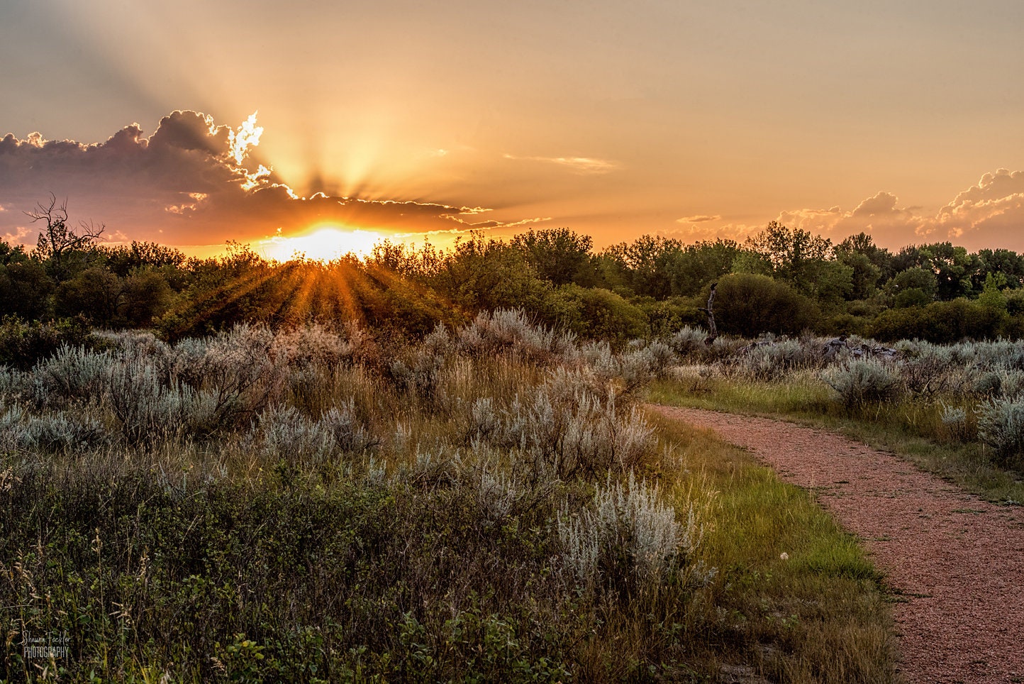 Police Point Park 12x18 Fine Art Photo - Etsy