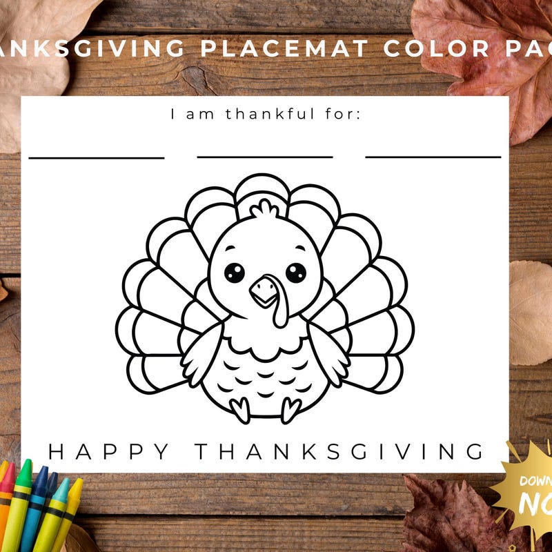 Turkey Placemats - Etsy