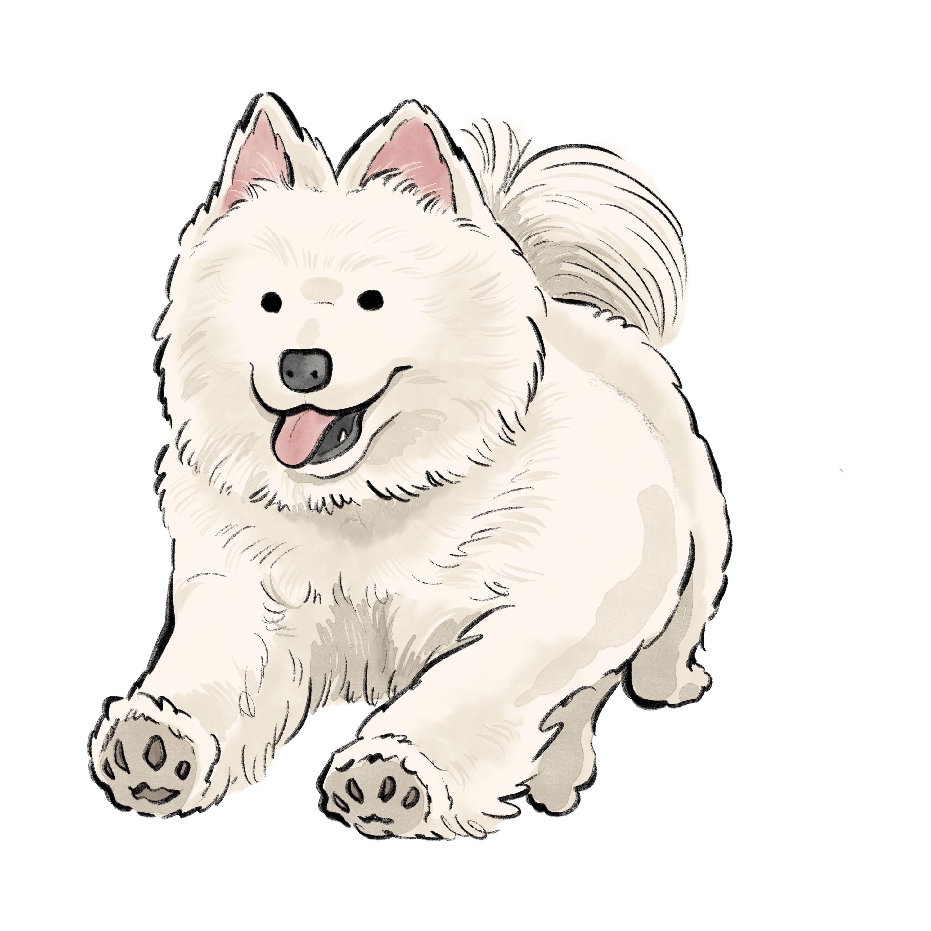 Watercolor Dogs Clipart Bundle : 15 PNG Puppies Digital Dowload, JPG ...