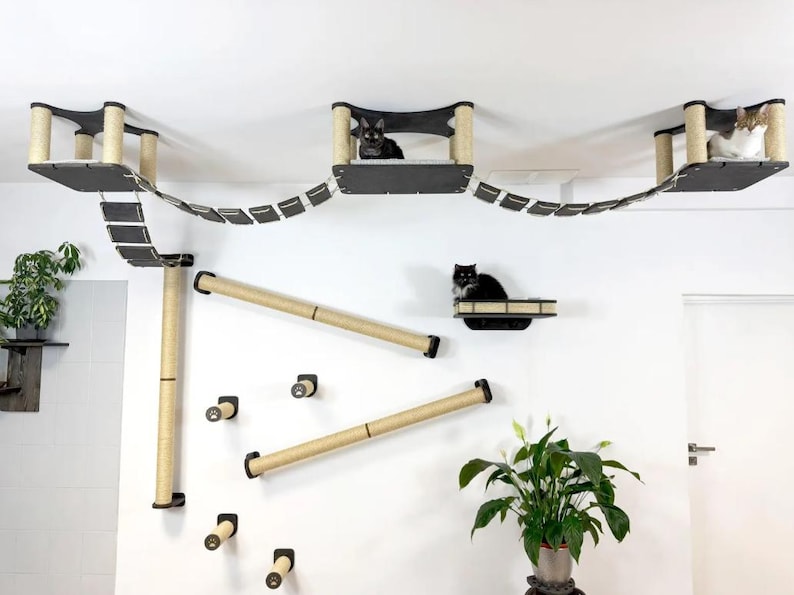 Ultimate Cat Wall & Ceiling Set – Modular Climbing and Lounging System ...