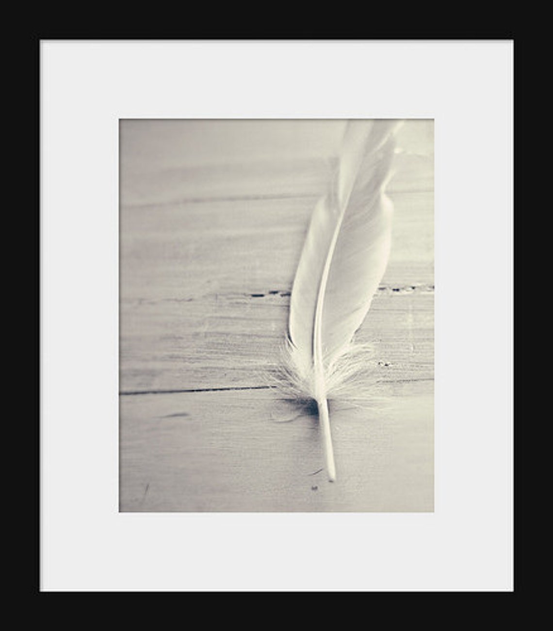 Still Life Photography: Shades of White Fine Art Photography White ...