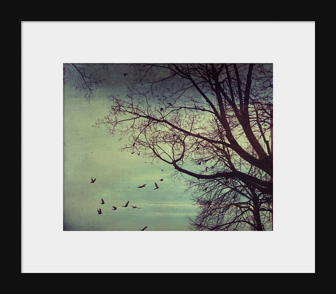Bird Tree Art: Birds in Flight Fine Art Photography Nature Wall Art ...