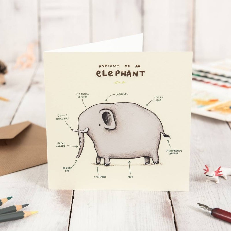 Elephant Cards - Etsy
