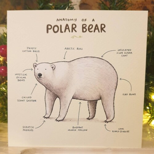 Anatomy of A Polar Bear Card - Etsy