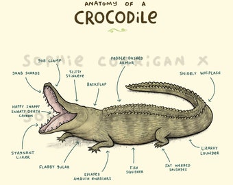 Crocodile Chart - Etsy UK