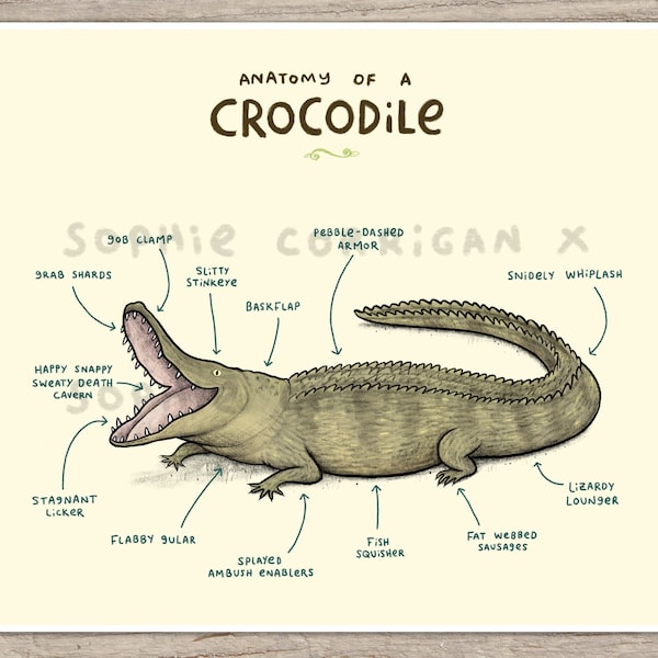 Crocodile Print - Etsy