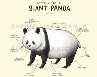 Giant Panda Diagram