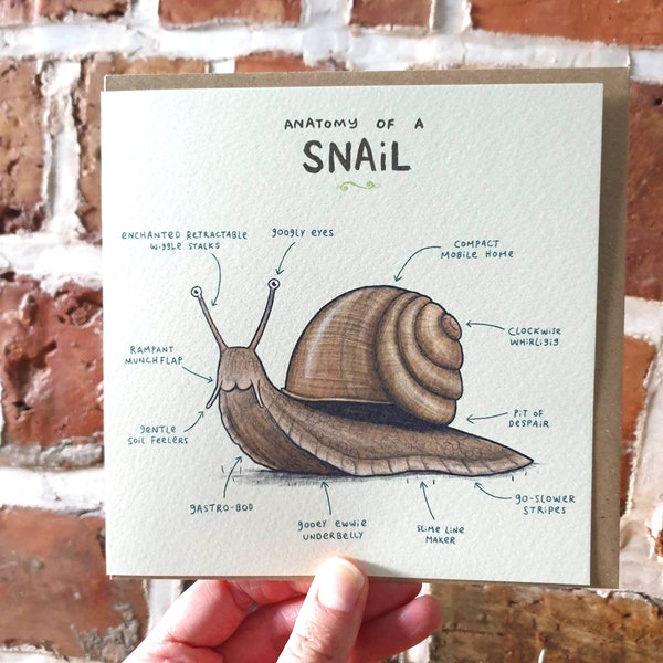 Snail Science Illustration - Etsy UK