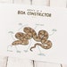 Anatomy of A Boa Constrictor Snake A4 Signed Print - Etsy