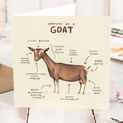 Anatomy of A Goat Card - Etsy