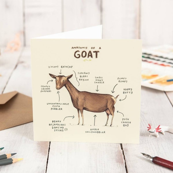 Goat Birthday Card - Etsy