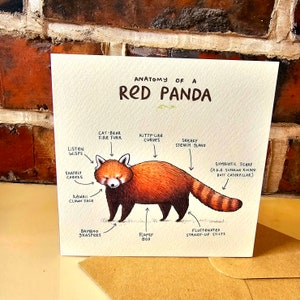 Anatomy of A Red Panda Card - Etsy