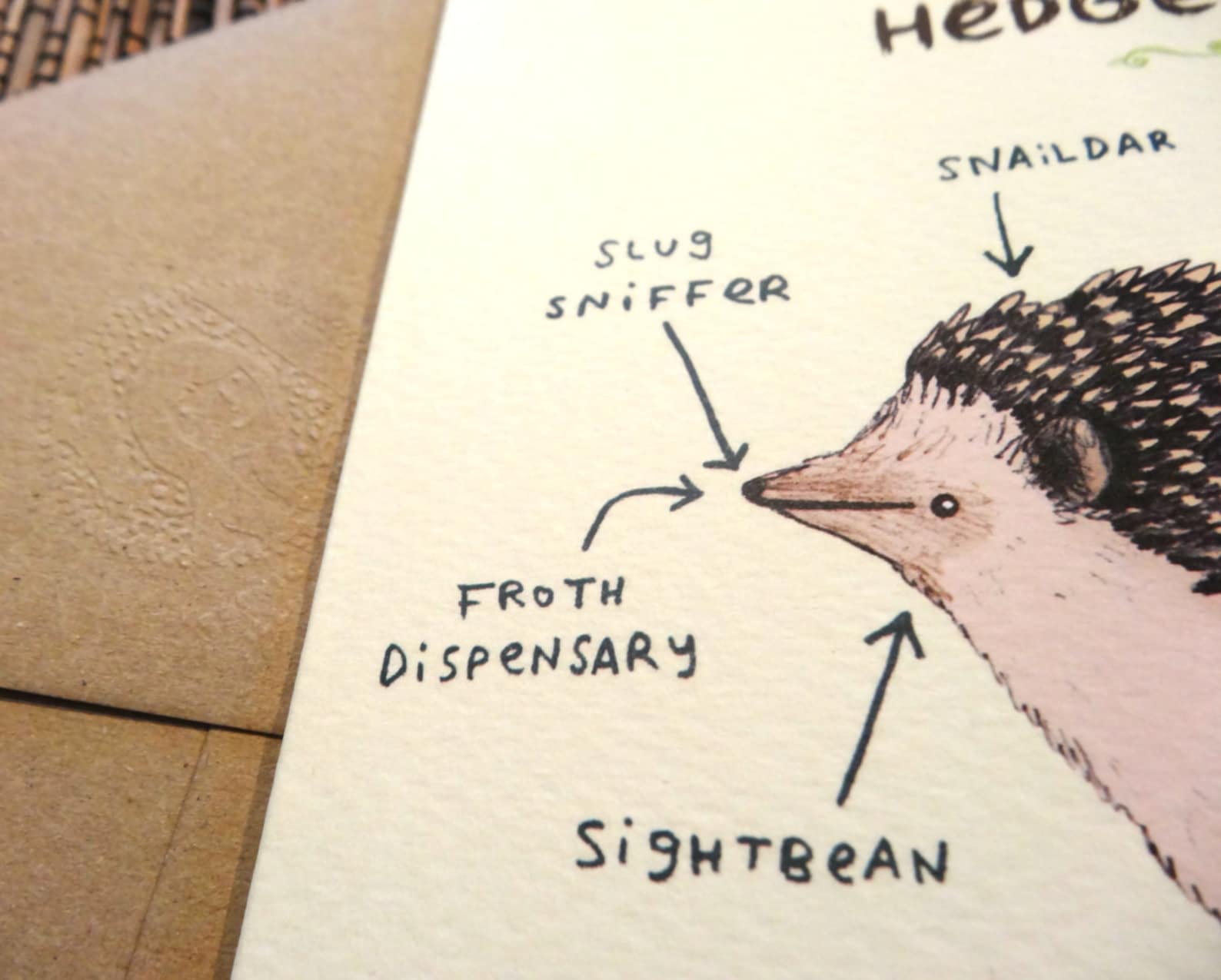 Anatomy of A Hedgehog Card - Etsy