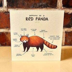 Anatomy of A Red Panda Card - Etsy