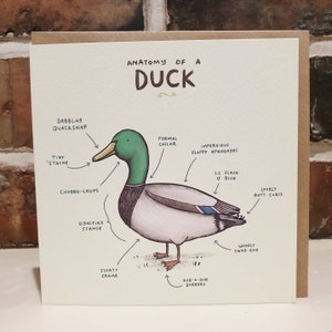 Anatomy of A Duck Card - Etsy