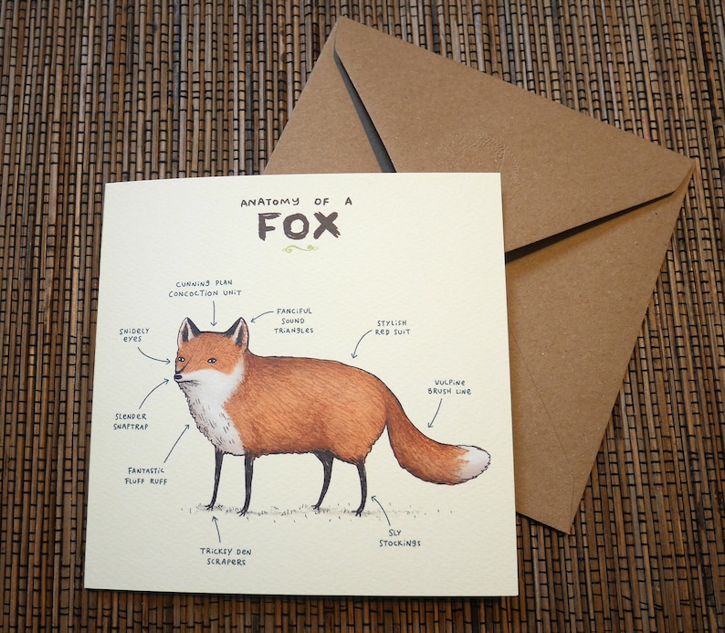 Anatomy of A Fox Card - Etsy